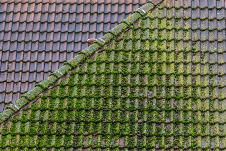 Ultimate Guide To Roof Types NZ