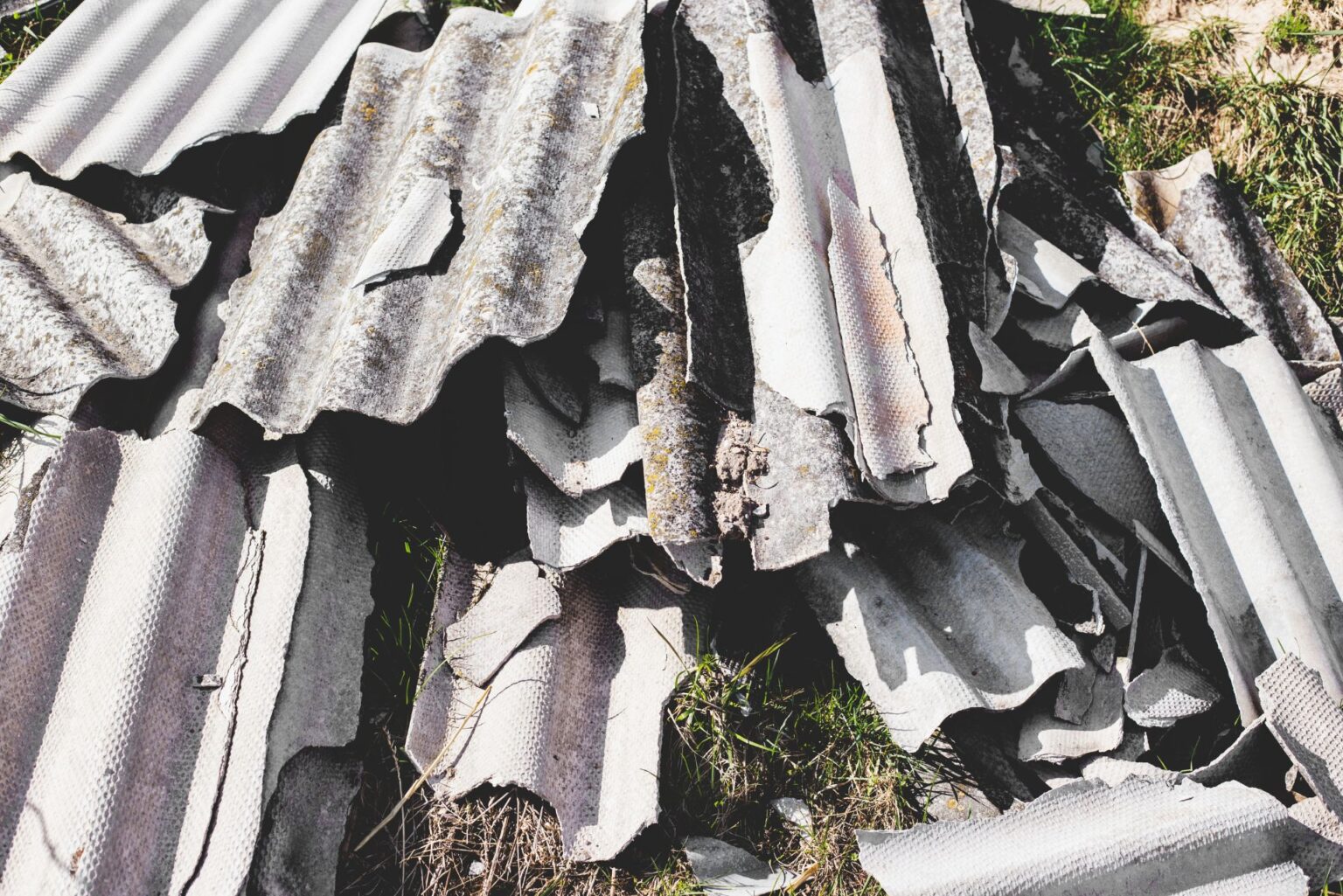 Ultimate Guide To Roof Types NZ