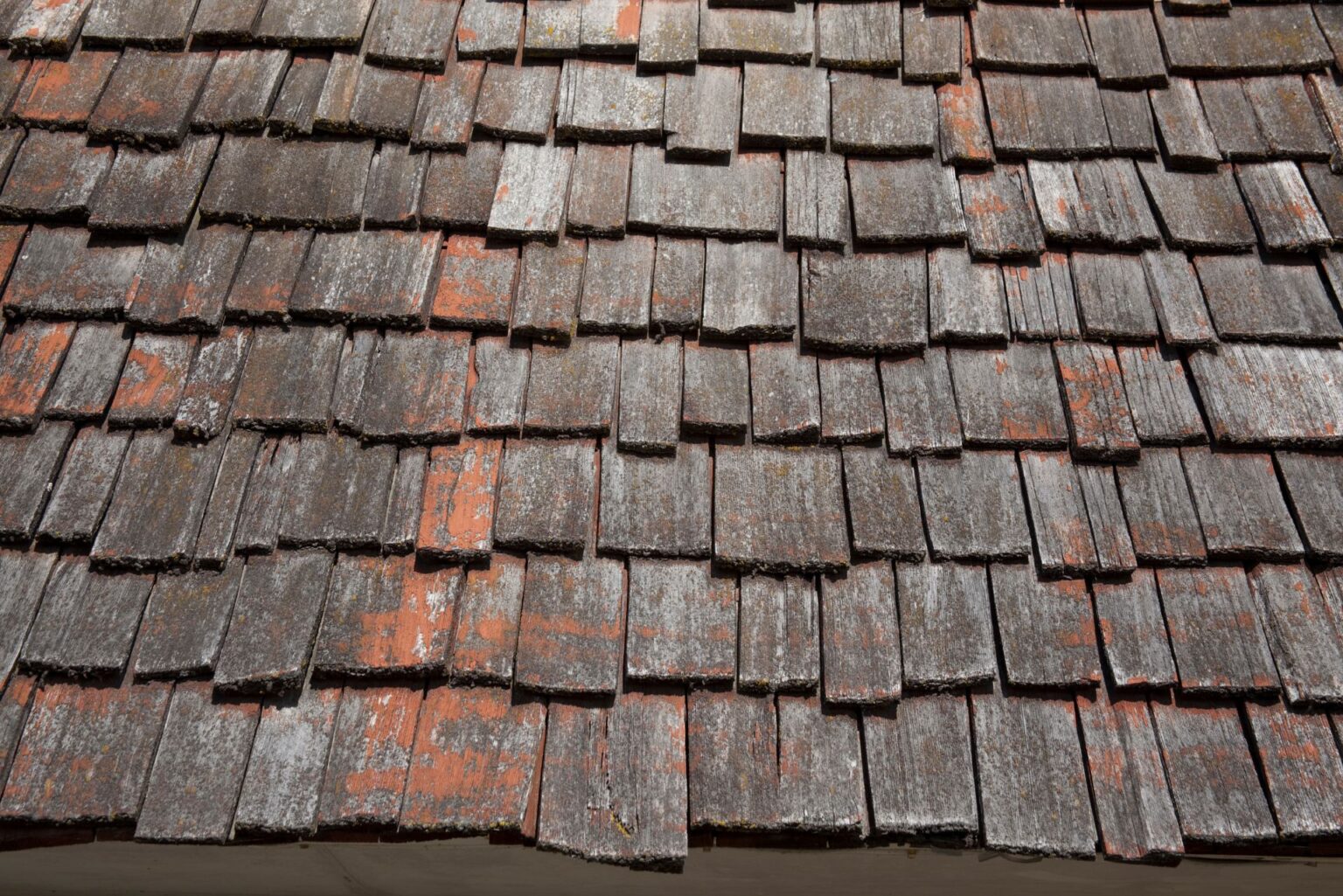 Ultimate Guide To Roof Types NZ