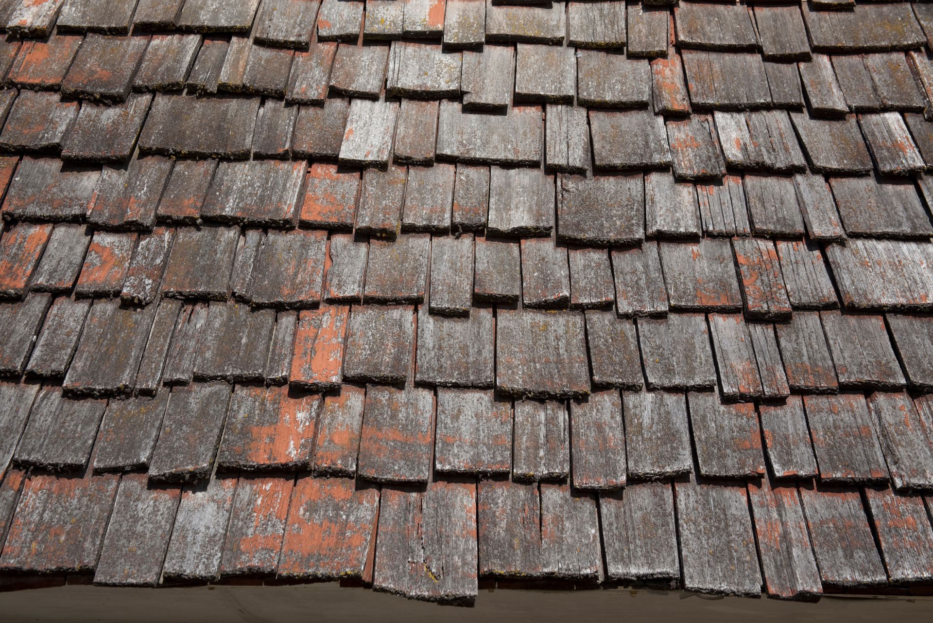Ultimate Guide To Roof Types NZ