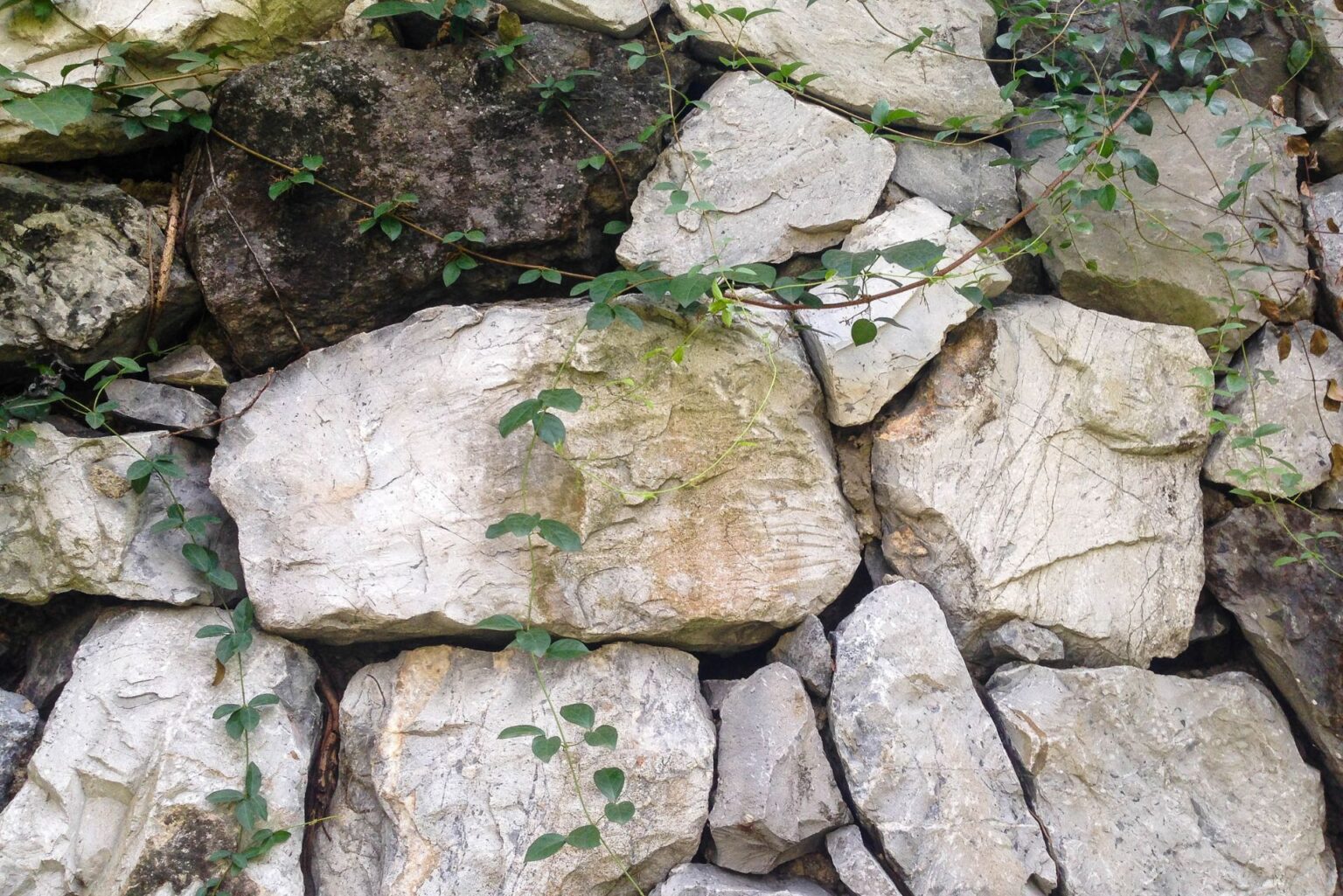 Ultimate Guide To Cost Of Large Landscaping Rocks NZ