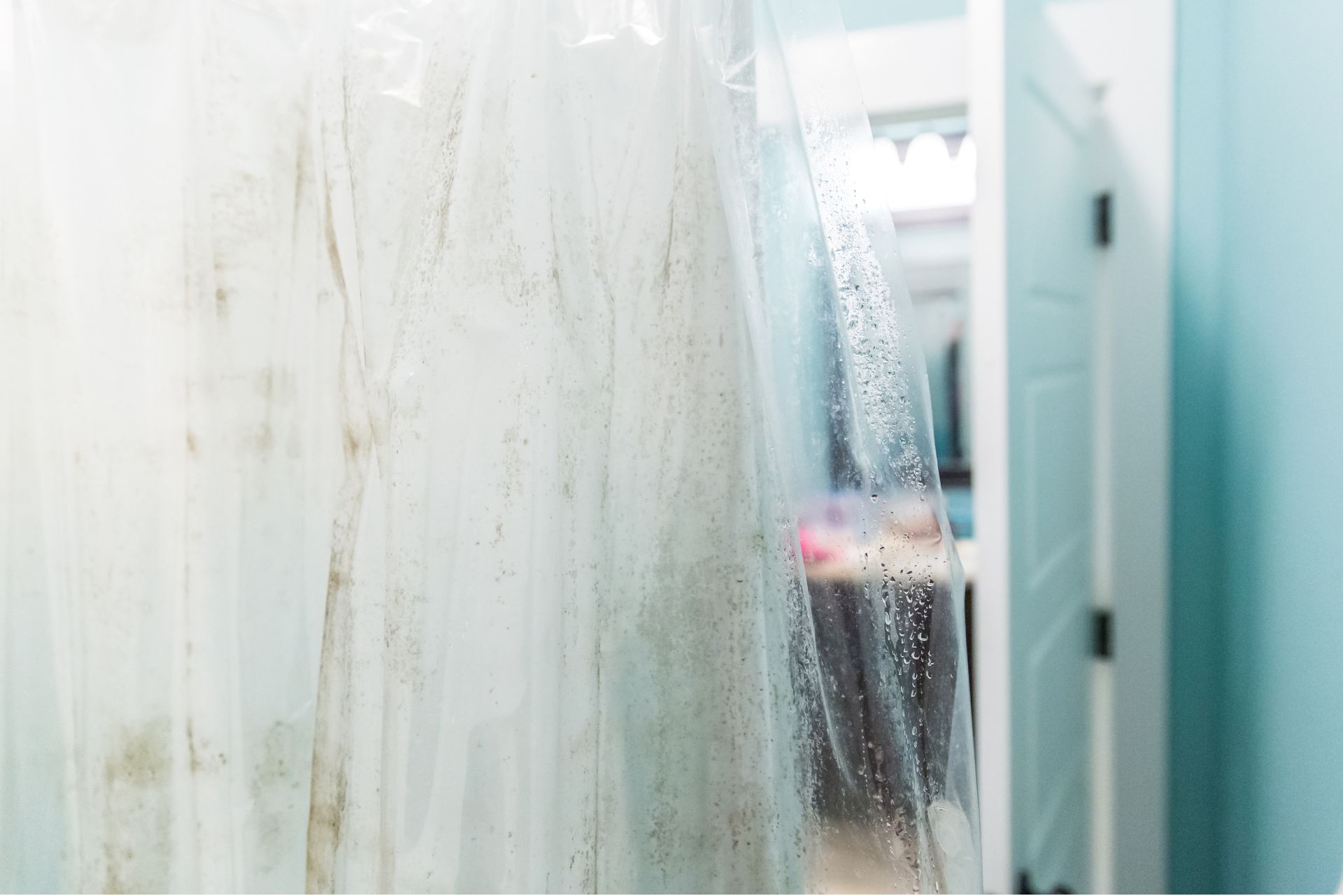 Ultimate Guide To How To Clean Shower Curtain Mold