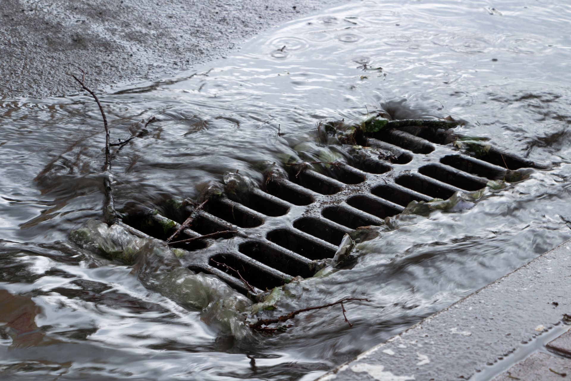 Ultimate Guide To Cost Of Drainage NZ