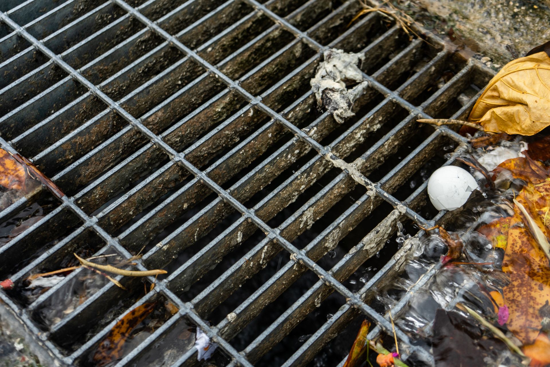Ultimate Guide To Cost Of Drainage NZ