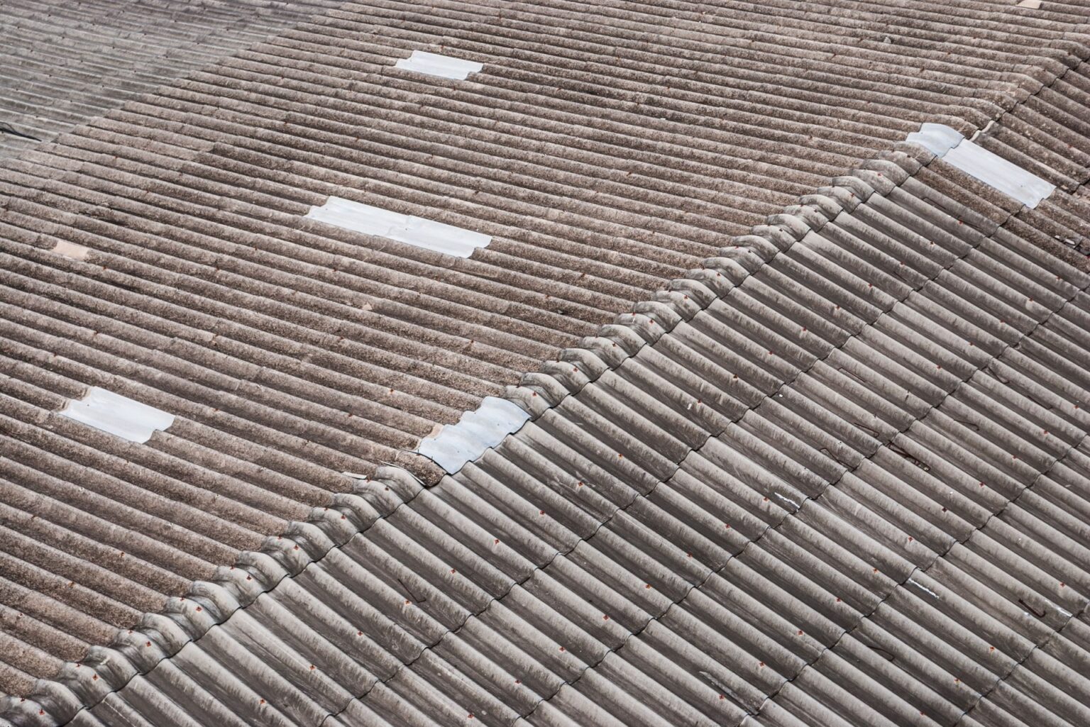 Ultimate Guide To Roof Types NZ