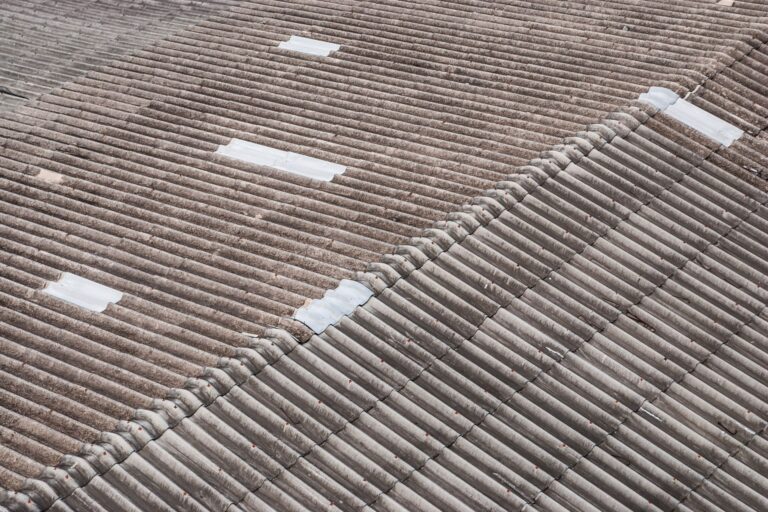 Ultimate Guide To Roof Types NZ