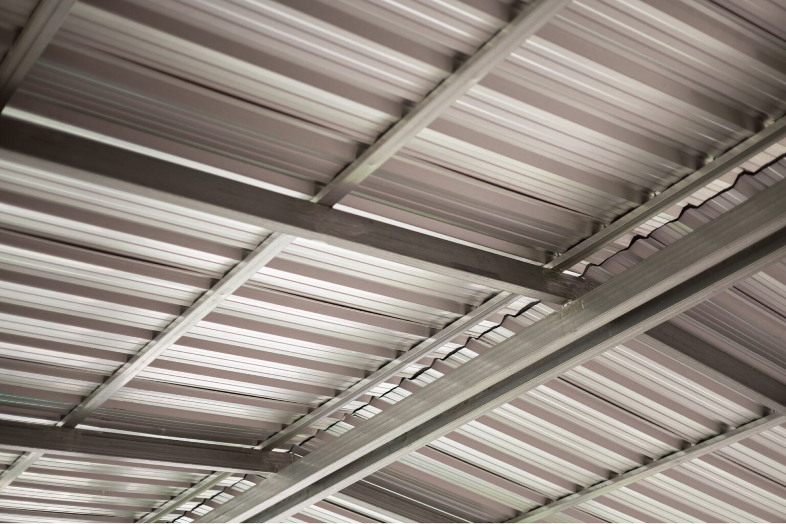 Ultimate Guide To Roof Types NZ