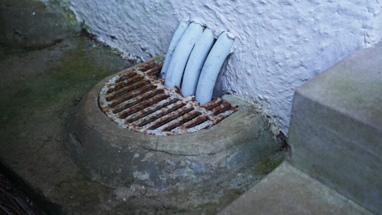 Ultimate Guide To Gully Traps NZ