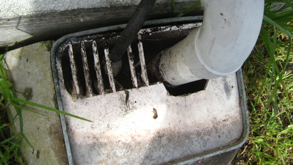 Ultimate Guide To Gully Traps NZ