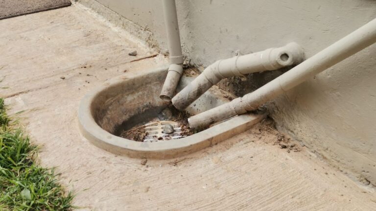 Ultimate Guide To Gully Traps NZ