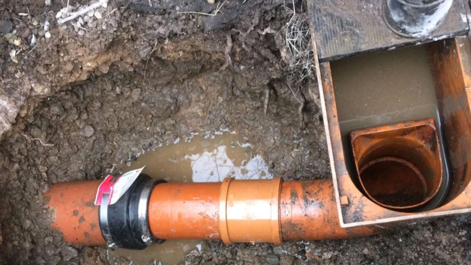 Ultimate Guide To Gully Traps NZ