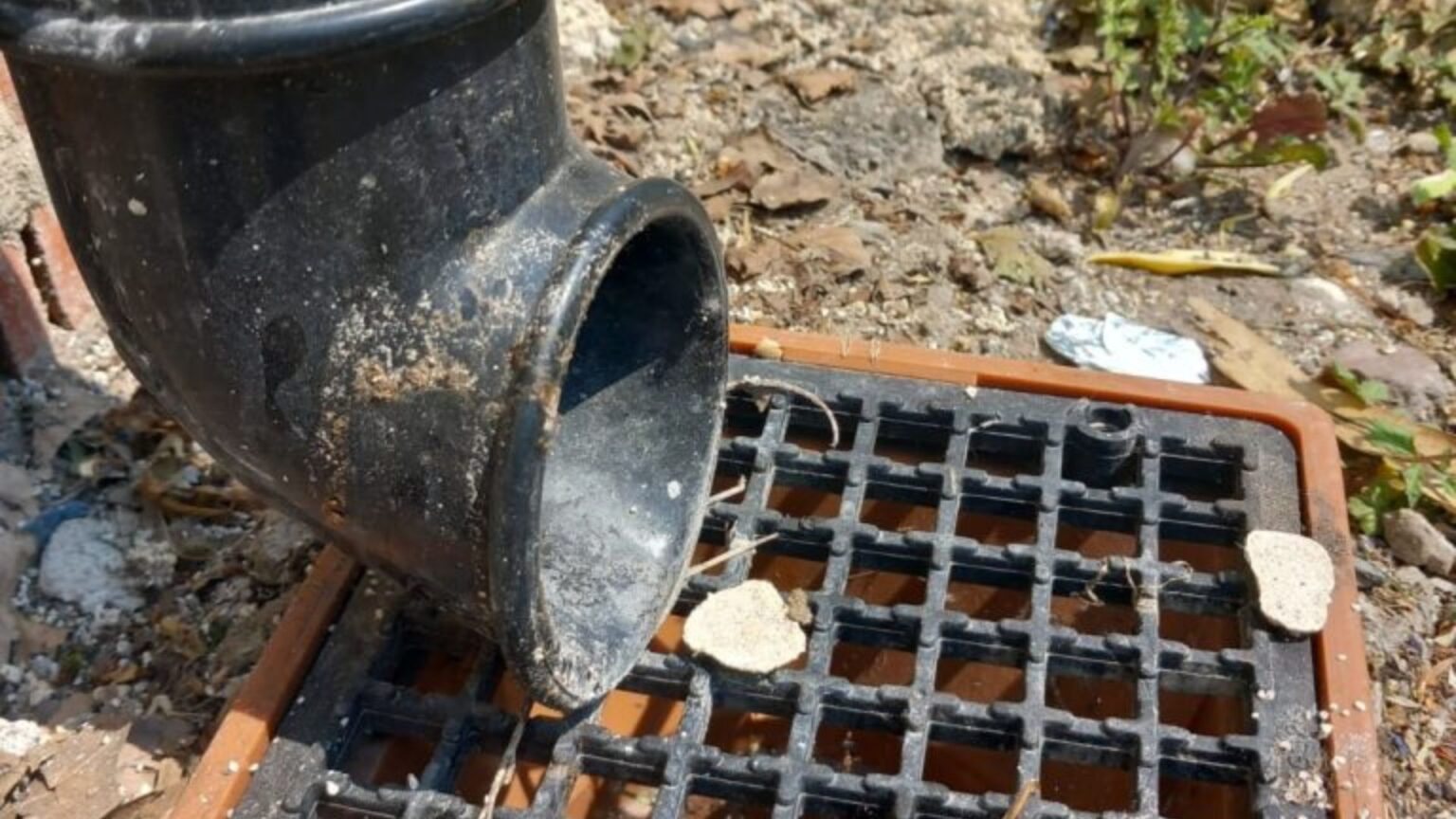 Ultimate Guide To Gully Traps NZ