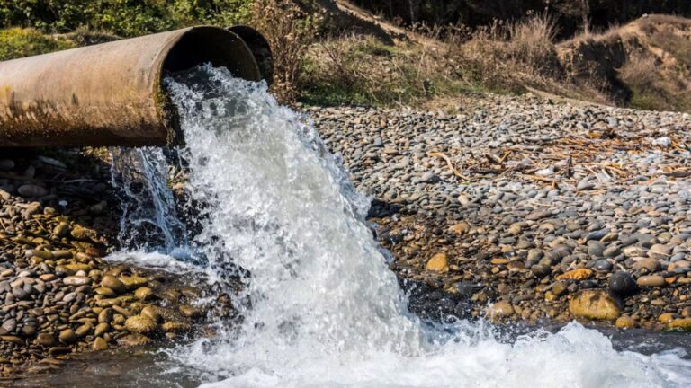 Ultimate Guide To Difference Between Sewage Vs Sewerage NZ