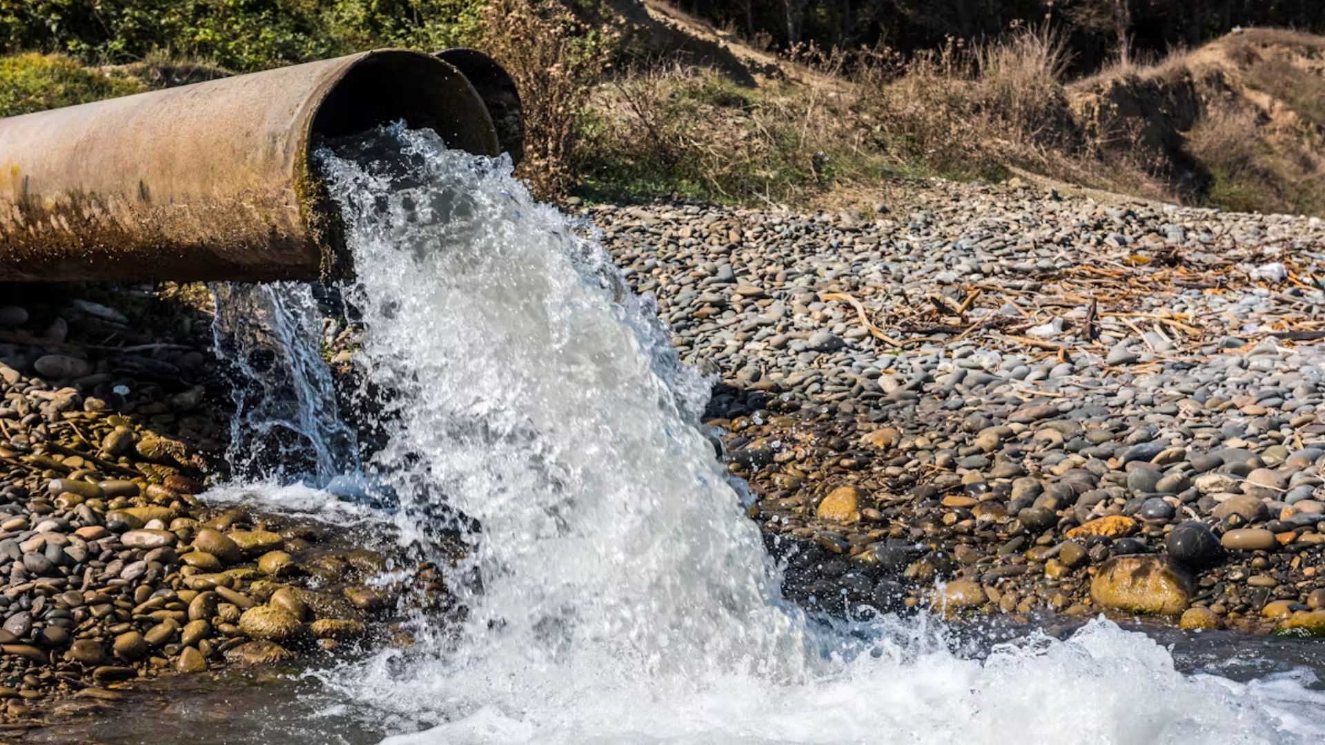 Ultimate Guide To Difference Between Sewage Vs Sewerage NZ