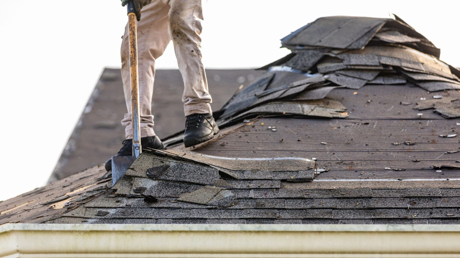 Ultimate Guide To Roof Types NZ