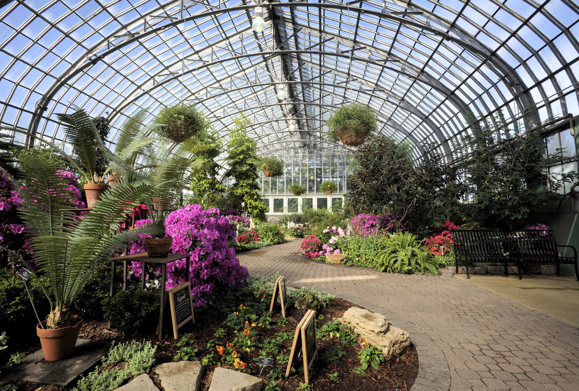 Conservatory Cost In NZ: A Complete Guide To Pricing, Budgeting, And ...