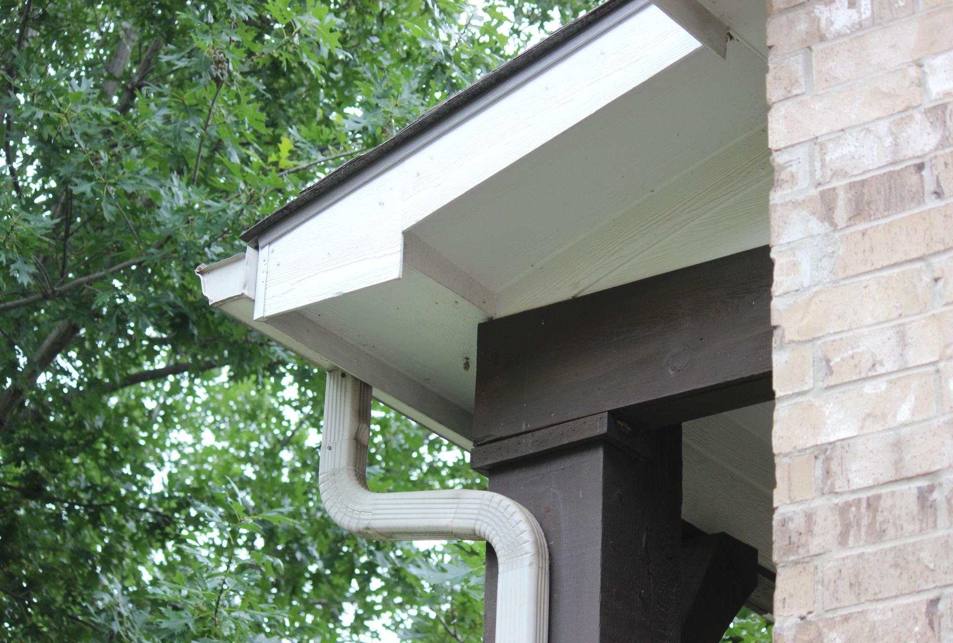 Best Types Of Gutters In NZ: Compare Materials, Costs & Maintenance Tips