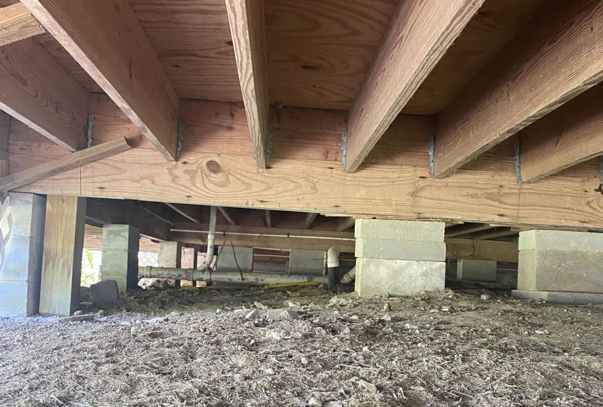 Cost To Level A Pier And Beam Foundation In NZ: Pricing, Factors & Expert Tips