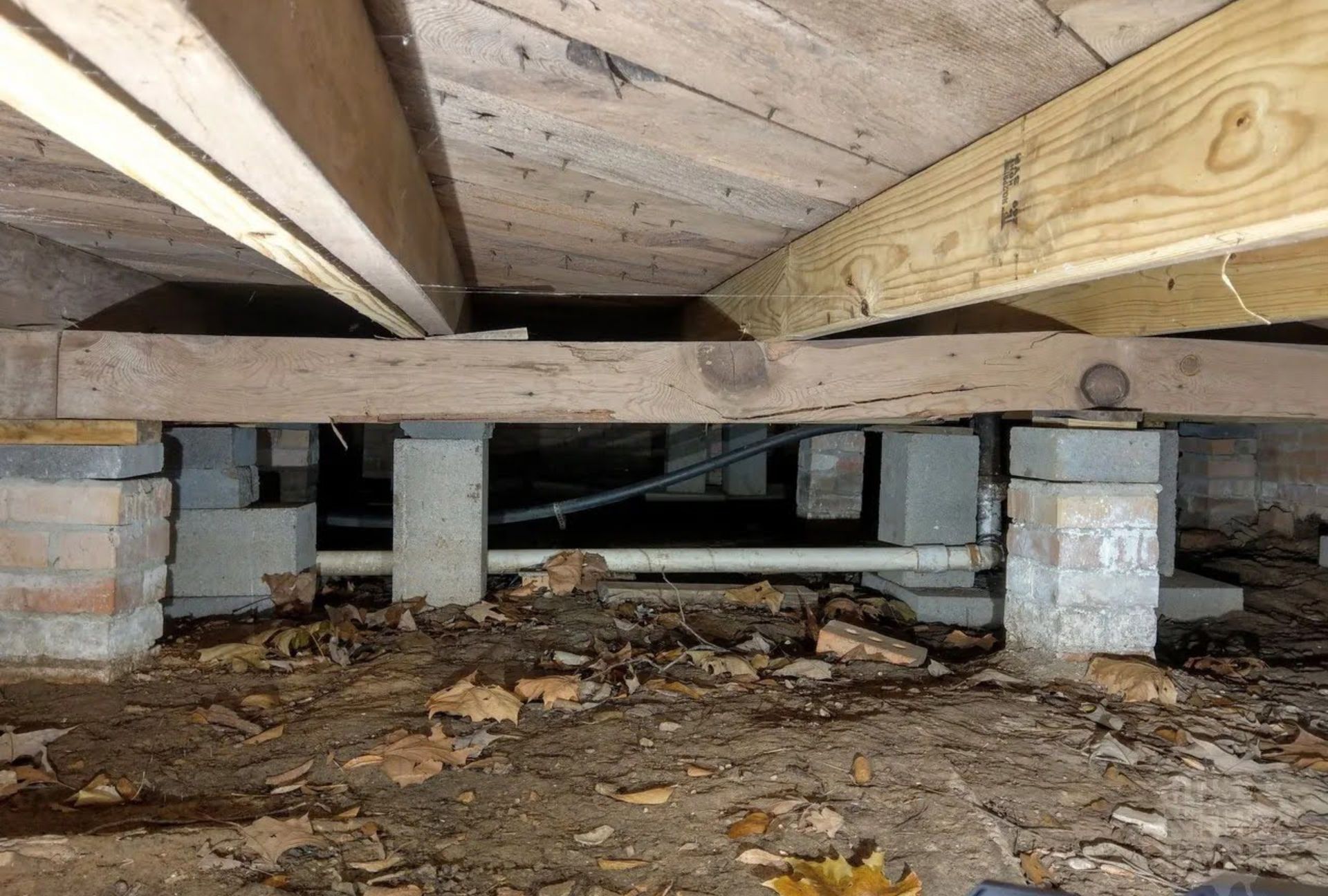 Cost To Level A Pier And Beam Foundation In NZ: Pricing, Factors ...