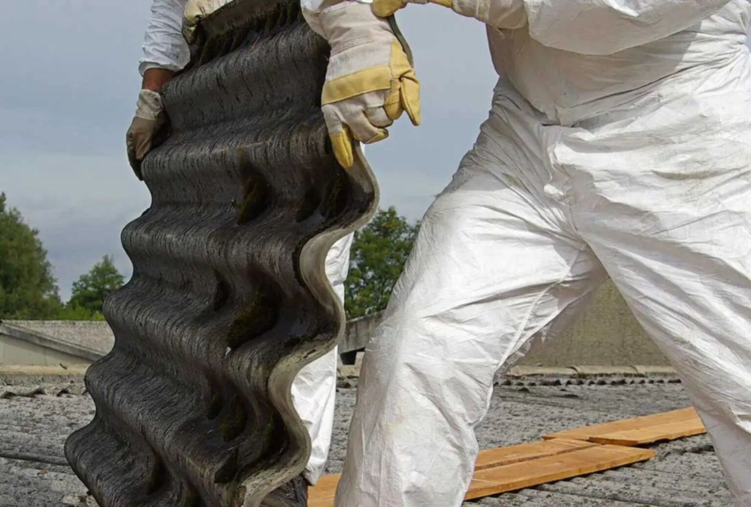 Safe And Professional Asbestos Removal In NZ: Your Complete Guide To ...