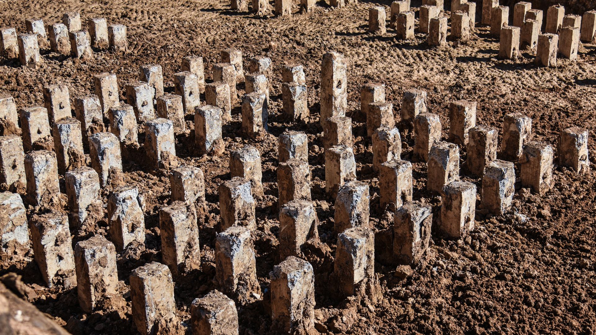 Cost Of Pile Foundations In NZ: Pricing, Factors & Smart Saving Tips ...