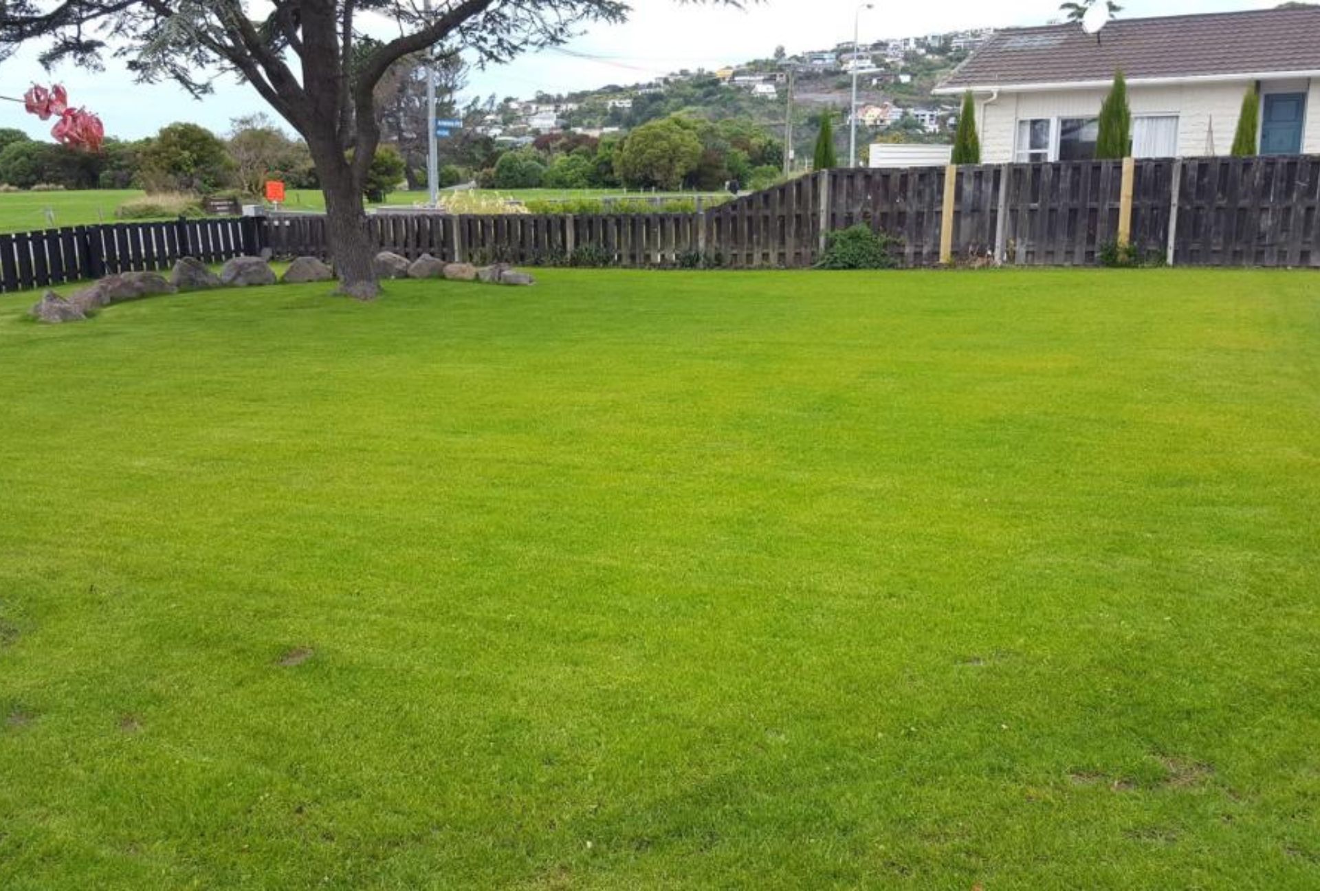 What Is Hydroseeding Grass In NZ? A Complete Guide To Lush, Fast ...