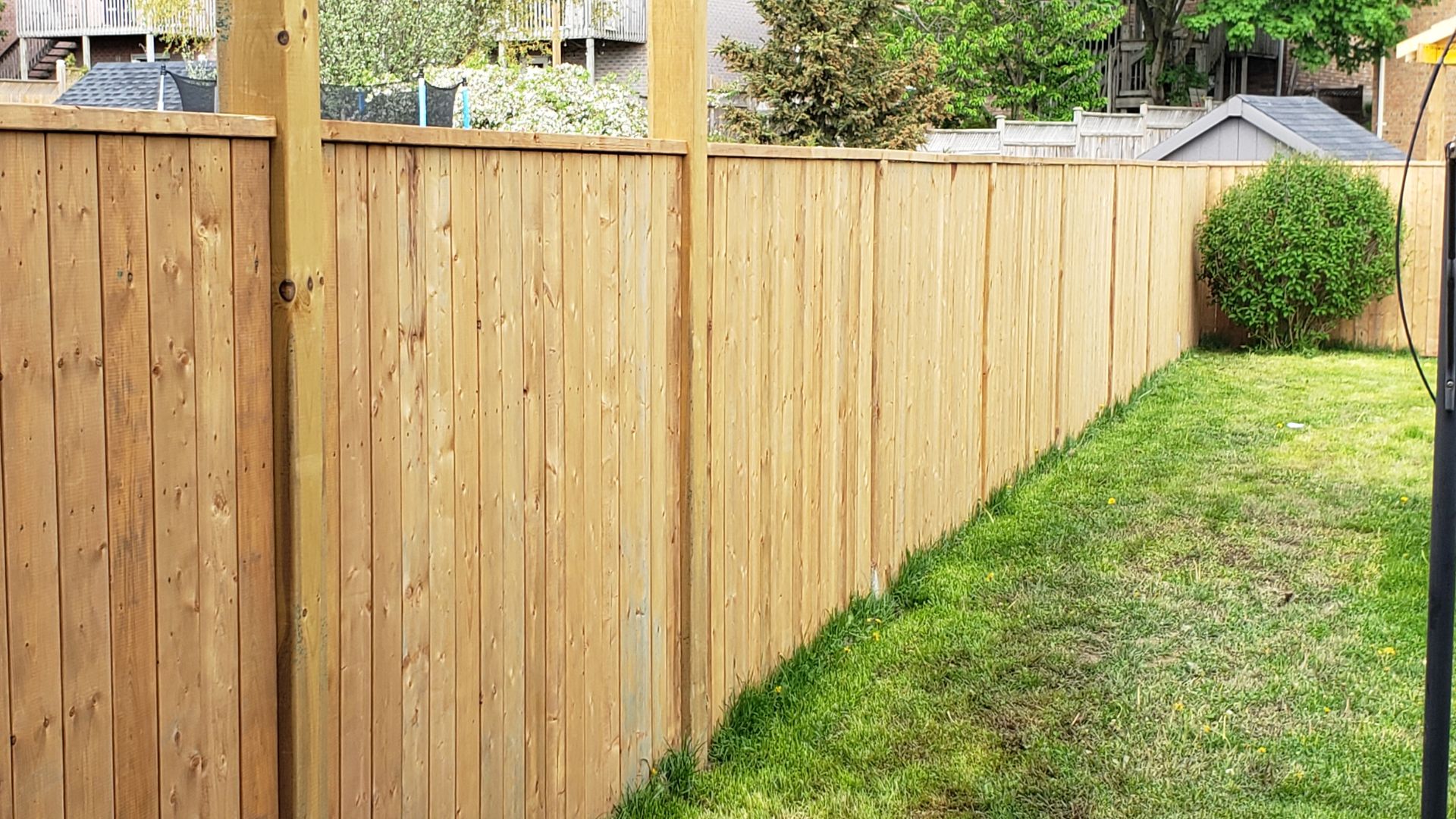 Best Fence Palings NZ: Top Materials, Prices & Expert Tips