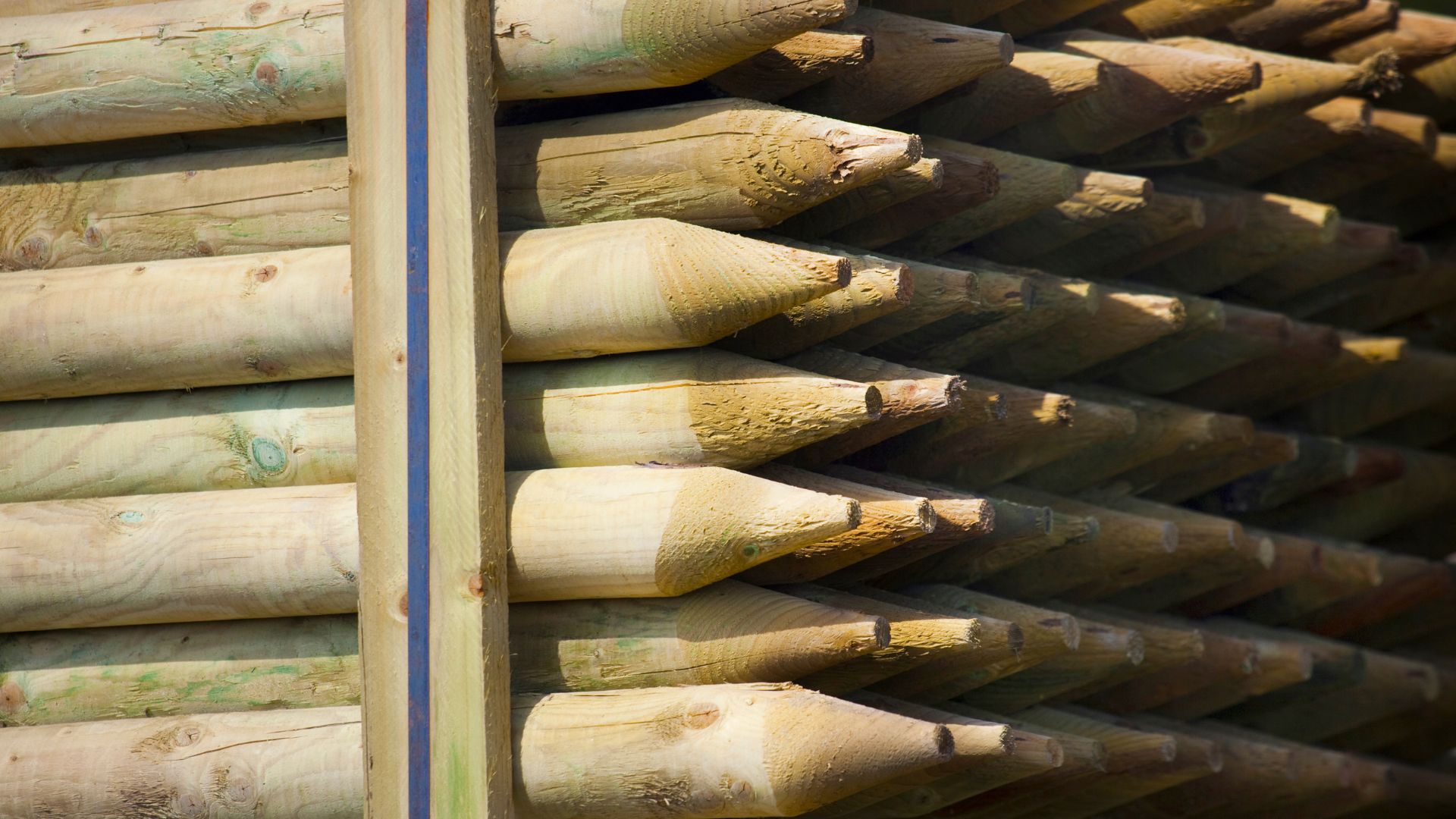 Best Fence Posts NZ: Compare Timber, Steel & Concrete Options