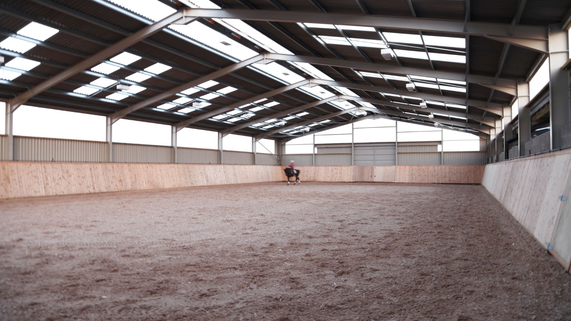 Horse Arena Building NZ: Step-By-Step Guide For Planning, Costs, And Setup