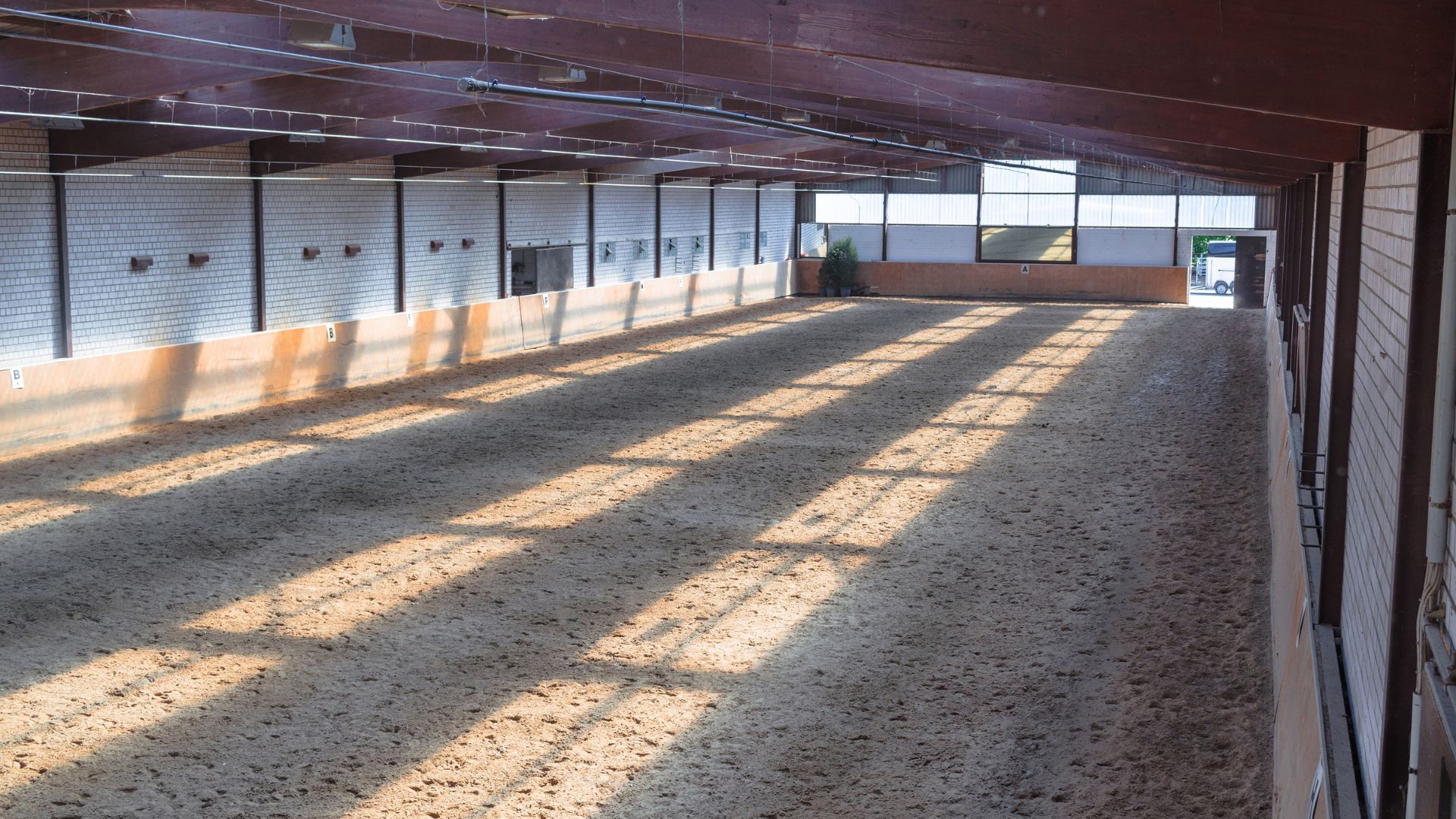 Horse Arena Building NZ: Step-By-Step Guide For Planning, Costs, And Setup