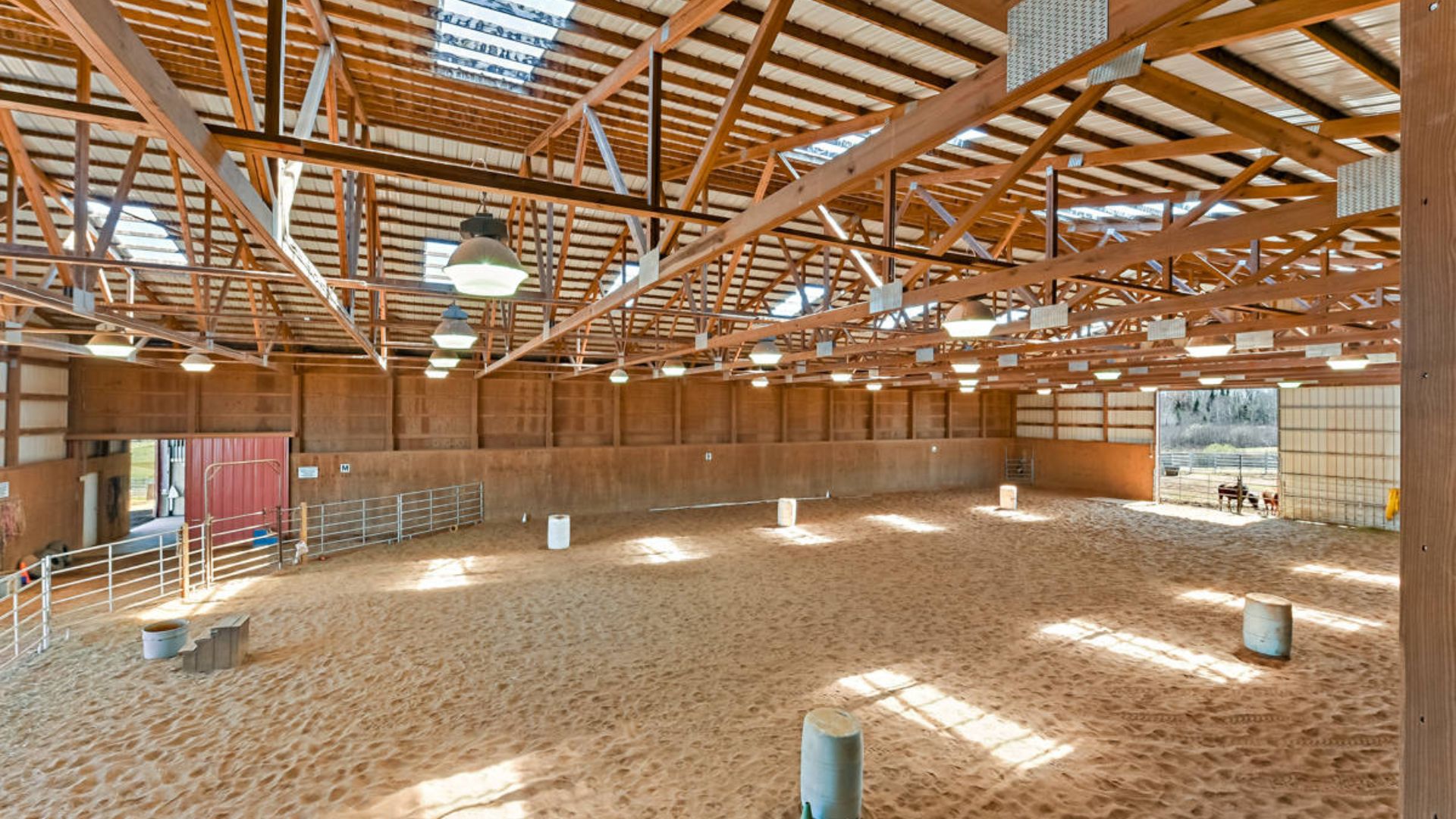 Horse Arena Building NZ: Step-By-Step Guide For Planning, Costs, And Setup
