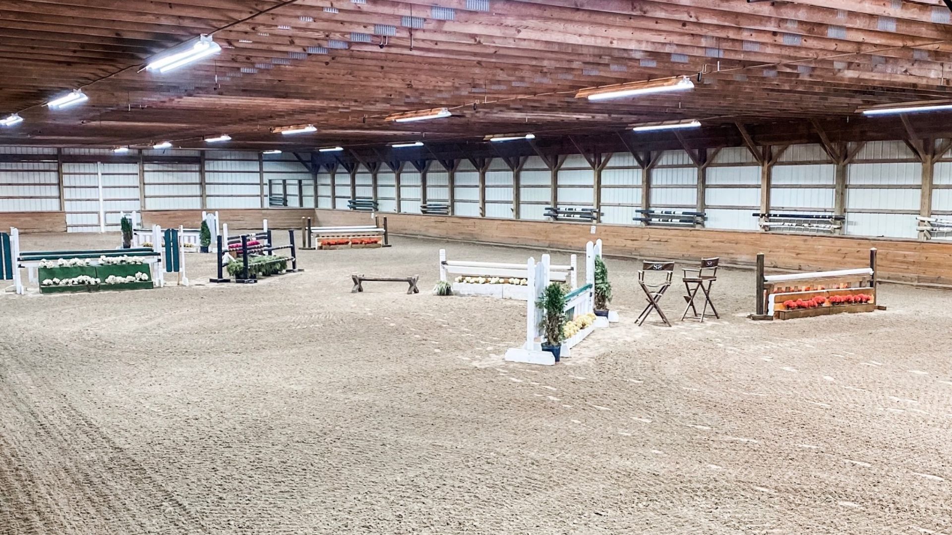 Horse Arena Building NZ: Step-By-Step Guide For Planning, Costs, And Setup