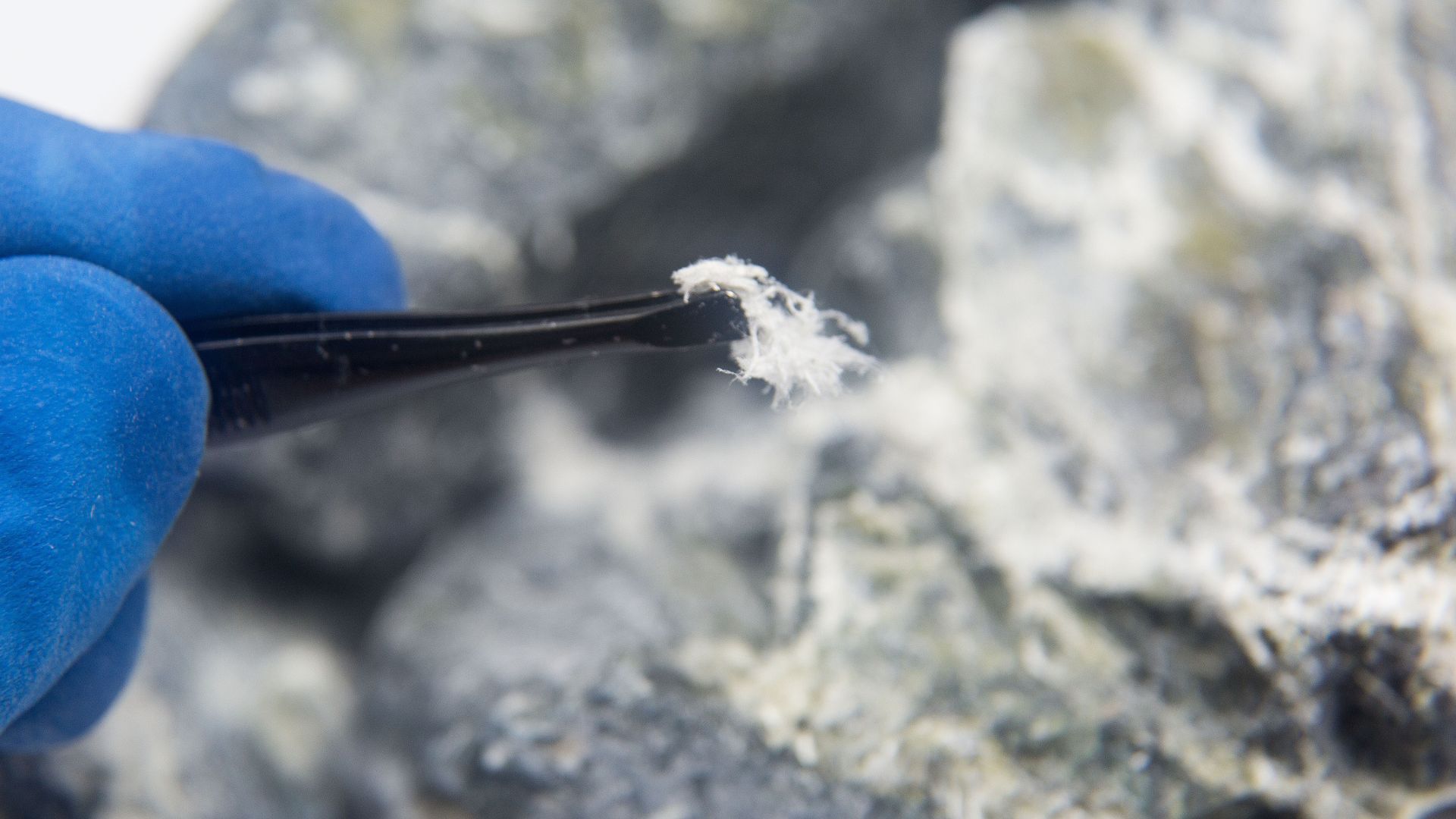 Asbestos Testing Cost NZ: What Homeowners Should Know